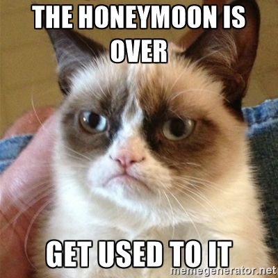The Honeymoon is Over – Triumphs, Tantrums, and Type One